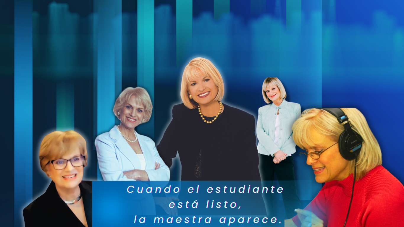 Julie Stav, Inc.